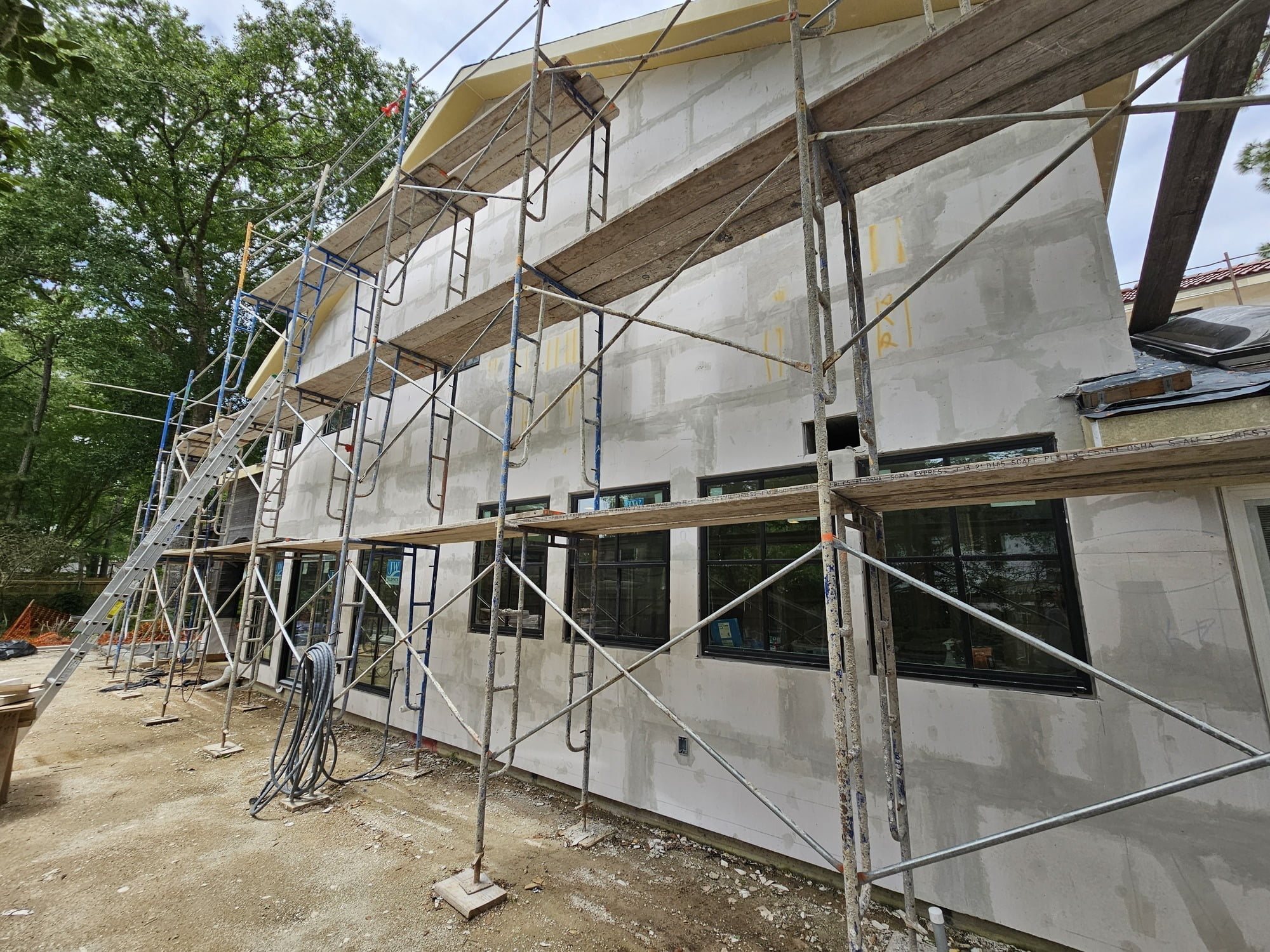 Painted Cup - Litecon